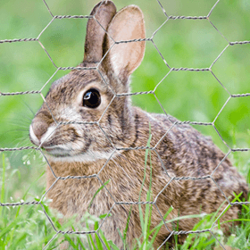 Mesh Direct - for all your wire mesh, fencing and chain link needs